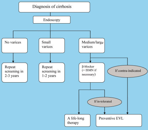 Management of Variceal Hemorrhage | Li | Gastroenterology Research